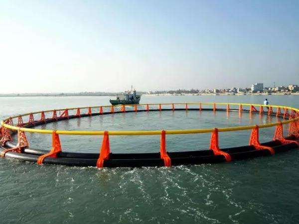 10-40m Round HDPE fish floating farming aquaculture cage with bracket ...