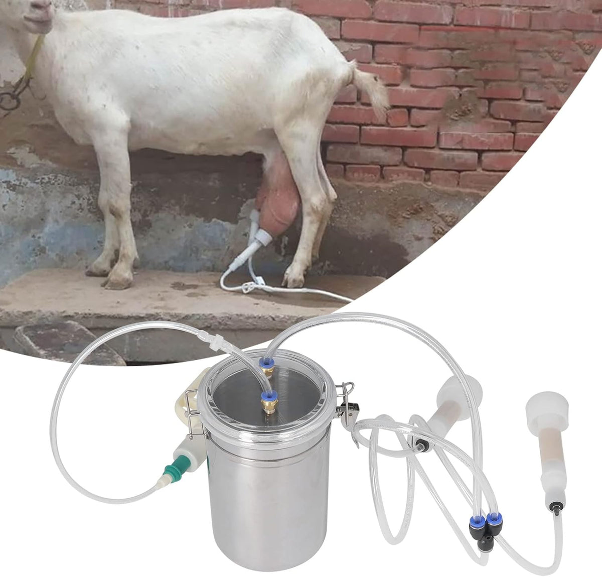 Portable Manual Milking Machine with 2000ML Stainless Steel Bottle - A ...