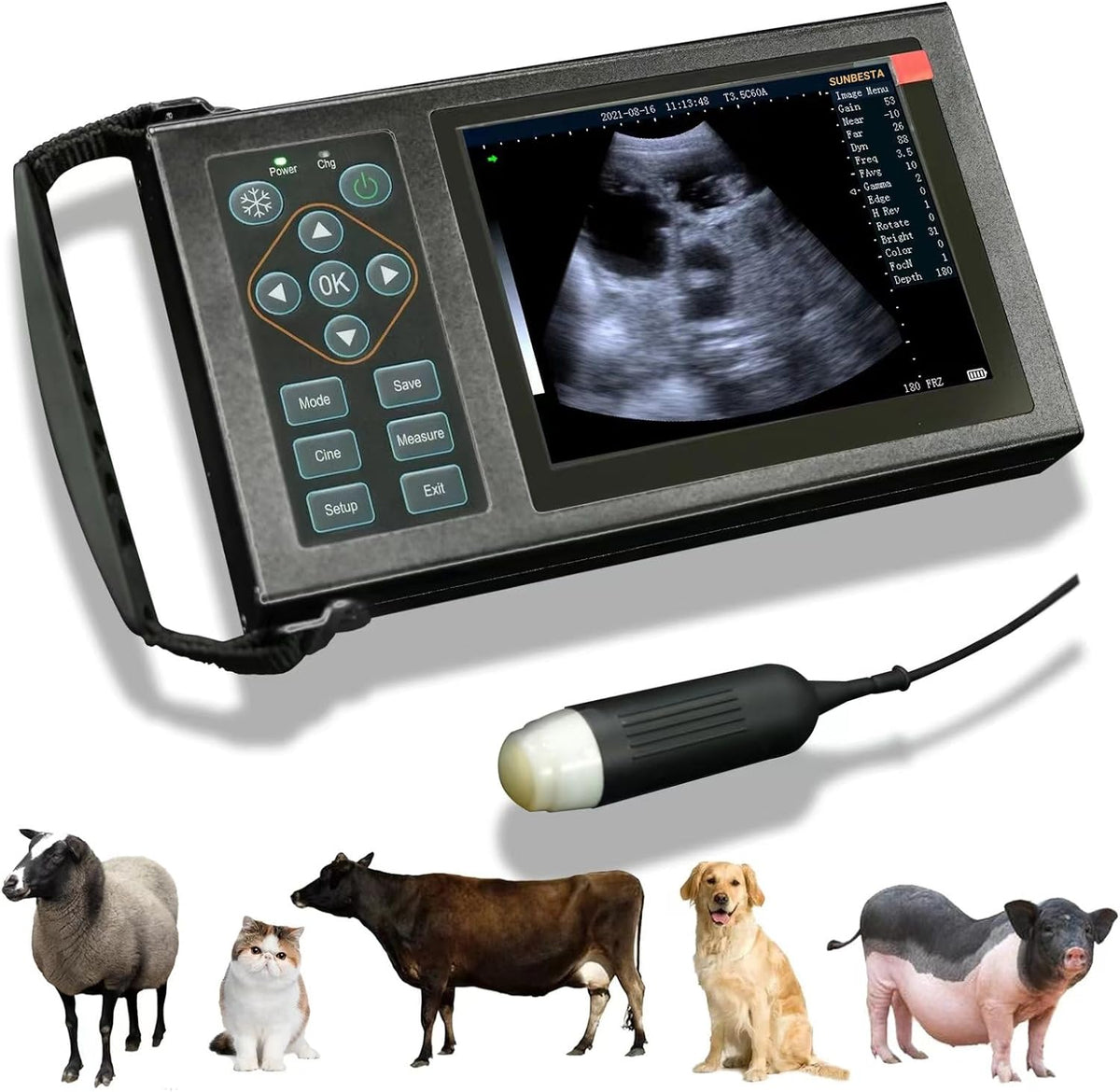 Portable Veterinary Ultrasound Machine for Dogs | 3.5 MHz Probe | Preg ...