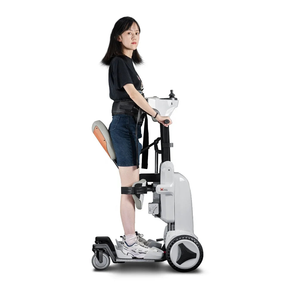 Walking Assistant Rehabilitation Equipment: Gait Training for Parapleg ...