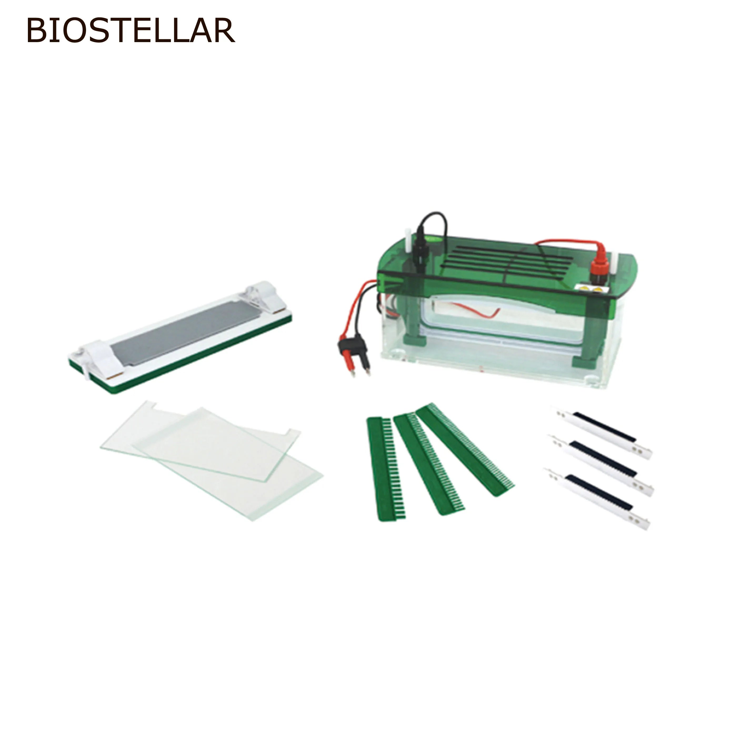 Sickle Cell Disease Electrophoresis Tank - Cellulose Acetate Membrane ...