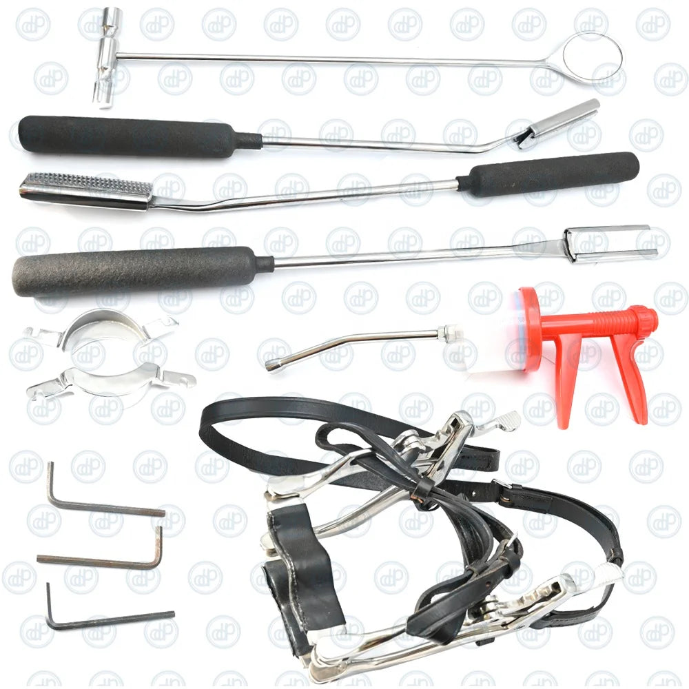 Horse Dental Teeth Floats & Hand Floats - Equine Mouth Speculum & Gag ...