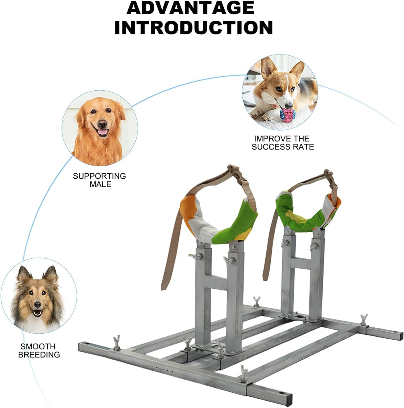 Dog Breeding Stand Stainless Steel I Adjustable Height and Length Pet ...