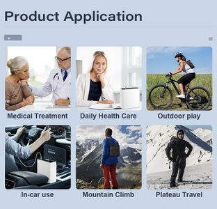 Portable 1L- 6L Continuous Flow Lightweight Mini Oxygen Concentrator W ...