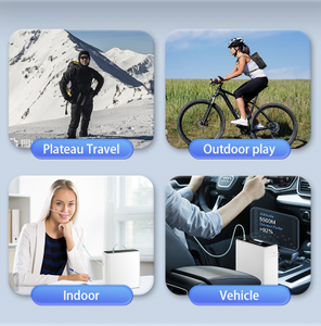 Portable 1L- 6L Continuous Flow Lightweight Mini Oxygen Concentrator W ...