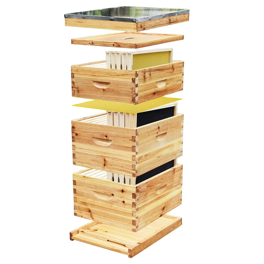 Complete Langstroth Beehive Kit I 10-Frame Bee Hive for Comprehensive ...