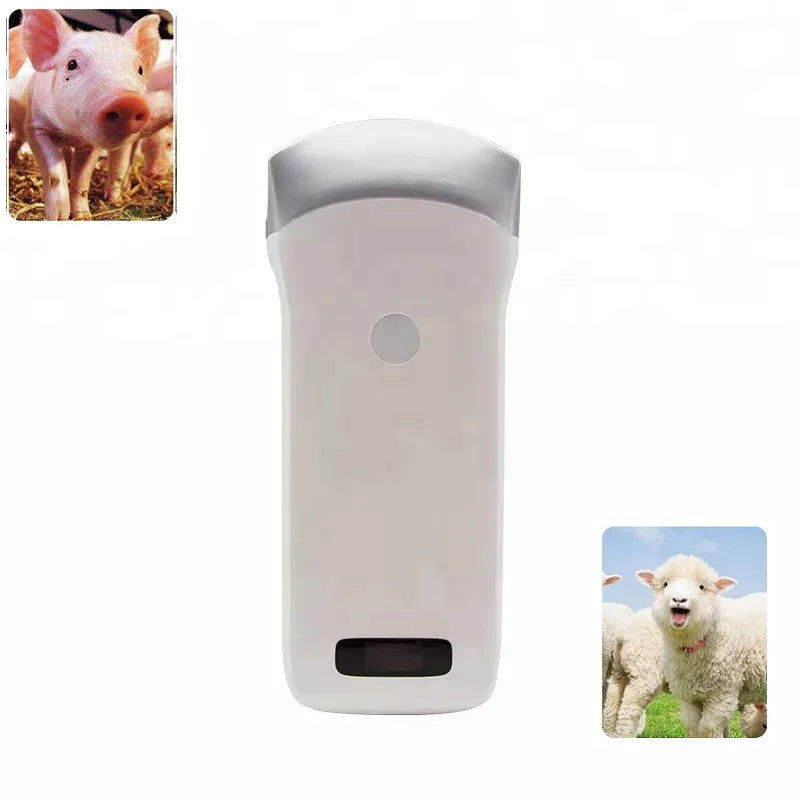 3.5Mhz convex Veterinary ultrasound probe scanner for swine and sheep ...